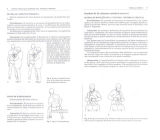 06 exploracion columna | PDF