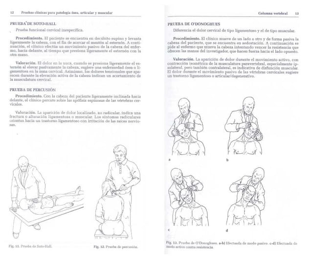 06 exploracion columna | PDF