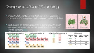Statistical Analysis of Protein Mutations - Copy | PPT