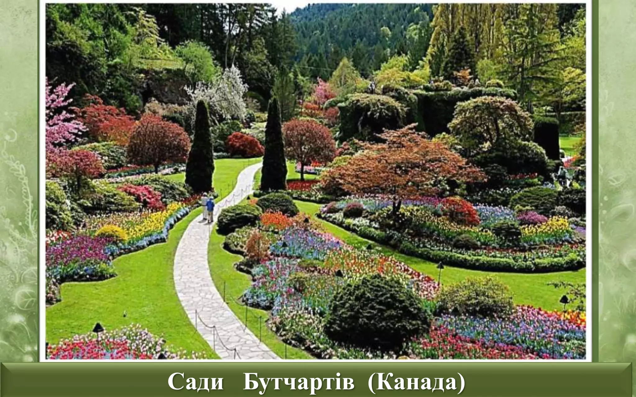 06_Flower_garden | PPTX