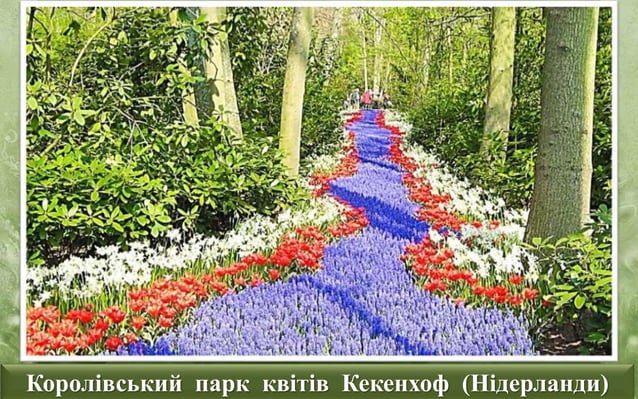 06_Flower_garden | PPTX