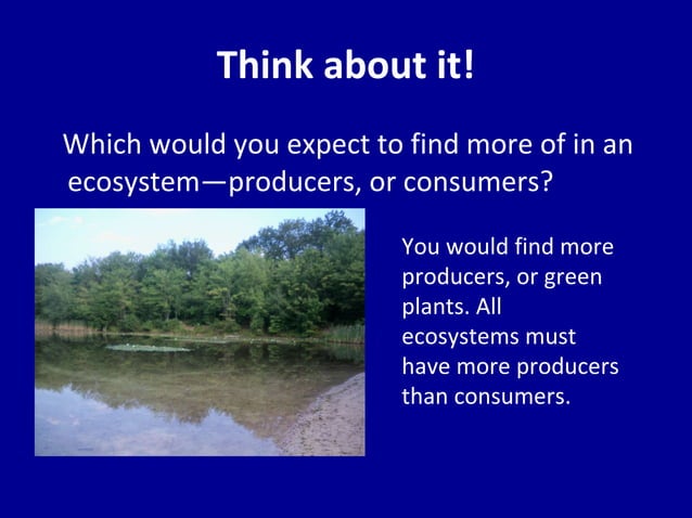 Introduction to Food Chains | PPT