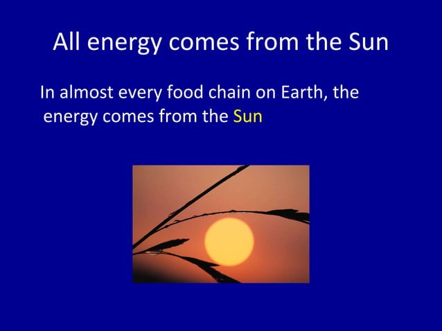 Introduction to Food Chains | PPT | Vegetarian Diets | Food & Drink