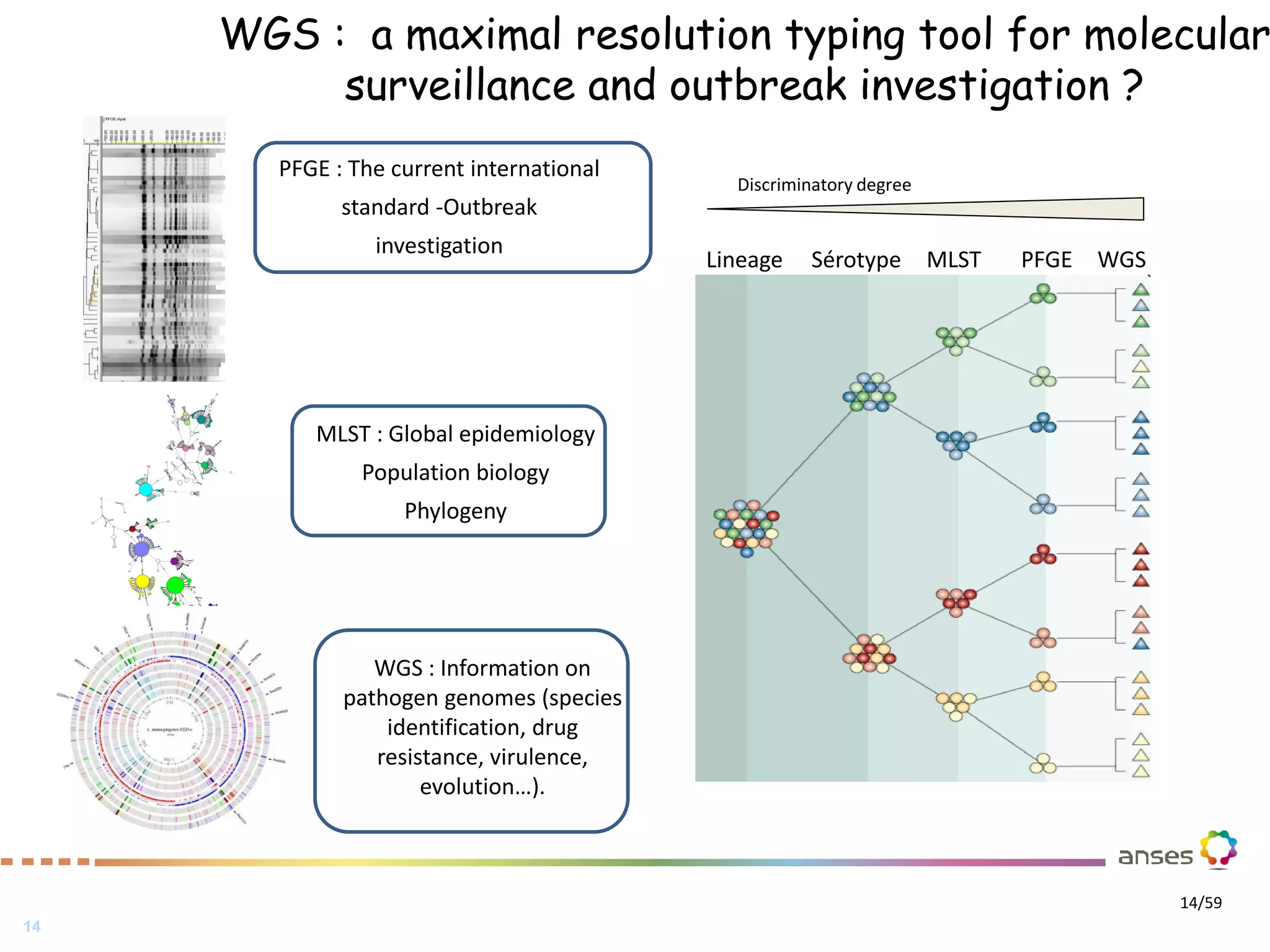 Whole Genome Sequencing (WGS) for food safety management in France ...