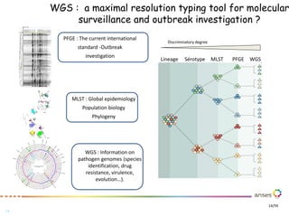 Whole Genome Sequencing (WGS) for food safety management in France ...