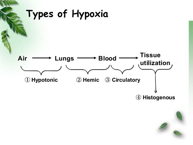 06 hypoxia