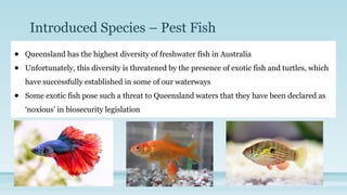 Introduced Species in aquatic ecosystems | PPT