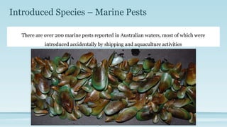 Introduced Species in aquatic ecosystems | PPT