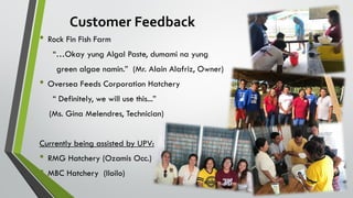 Juan Algae Paste | PDF | Business | Business and Finance