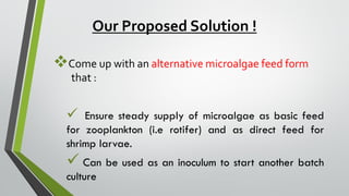 Juan Algae Paste | PDF