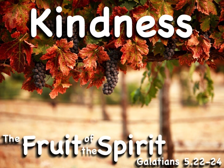The Fruit of the Spirit: Kindness