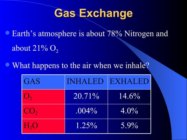 06 Lecture 5 Gases Laws And Alveolar Equations | PPT
