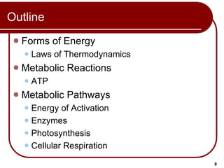 06 Lecture Animation Ppt | PPT