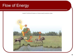 06 Lecture Animation Ppt | PPT