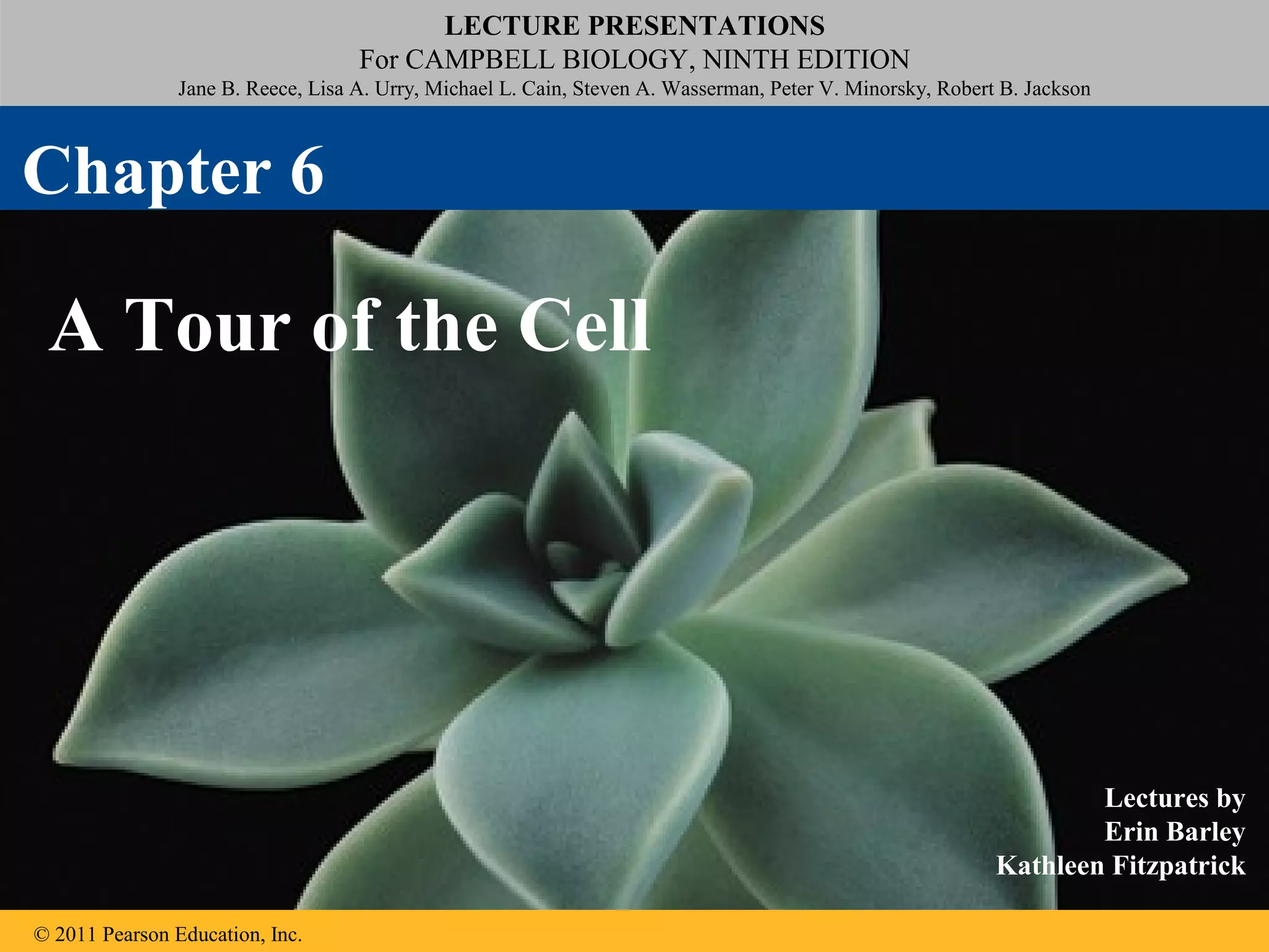 Ch 6: A Tour of the Cell | PPT | Biological Sciences | Science