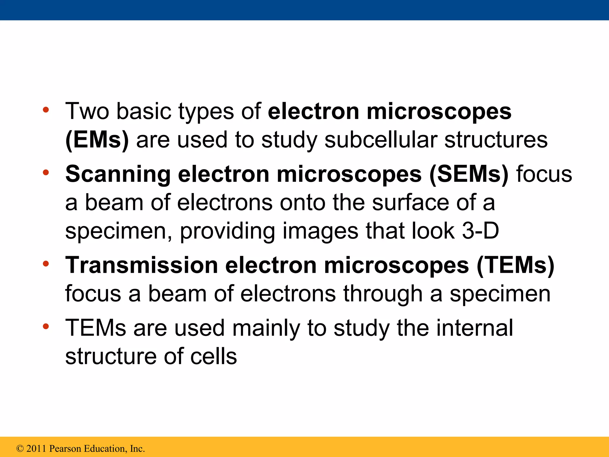 Ch 6: A Tour of the Cell | PPT