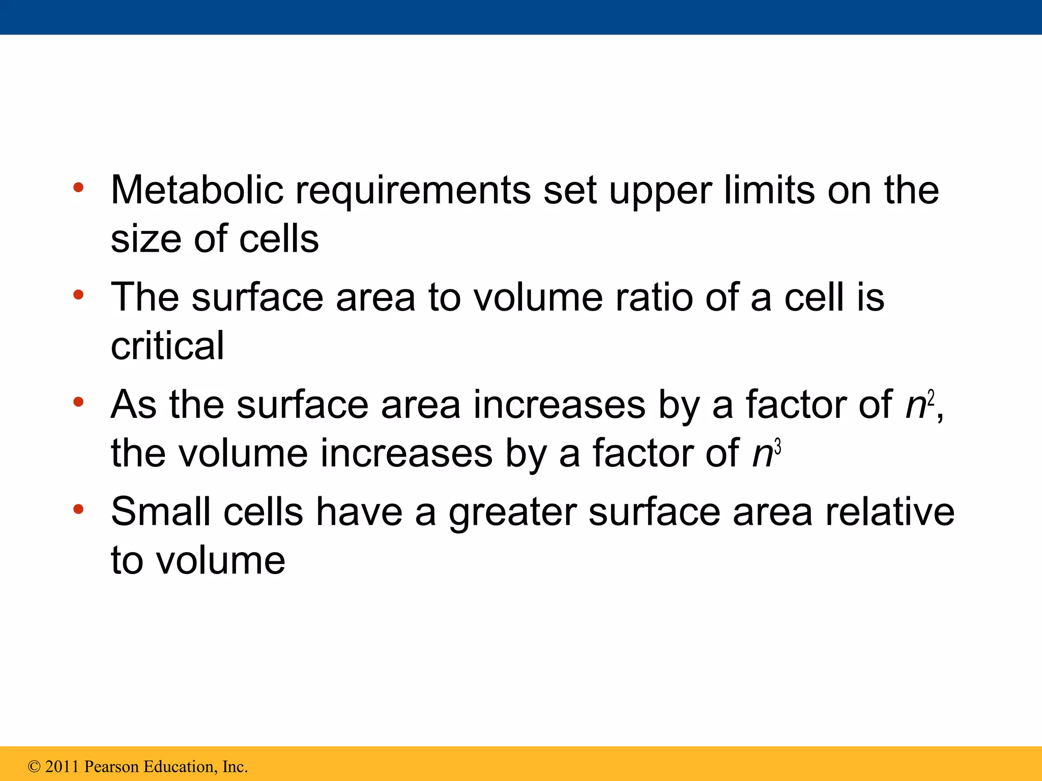 Ch 6: A Tour of the Cell | PPT