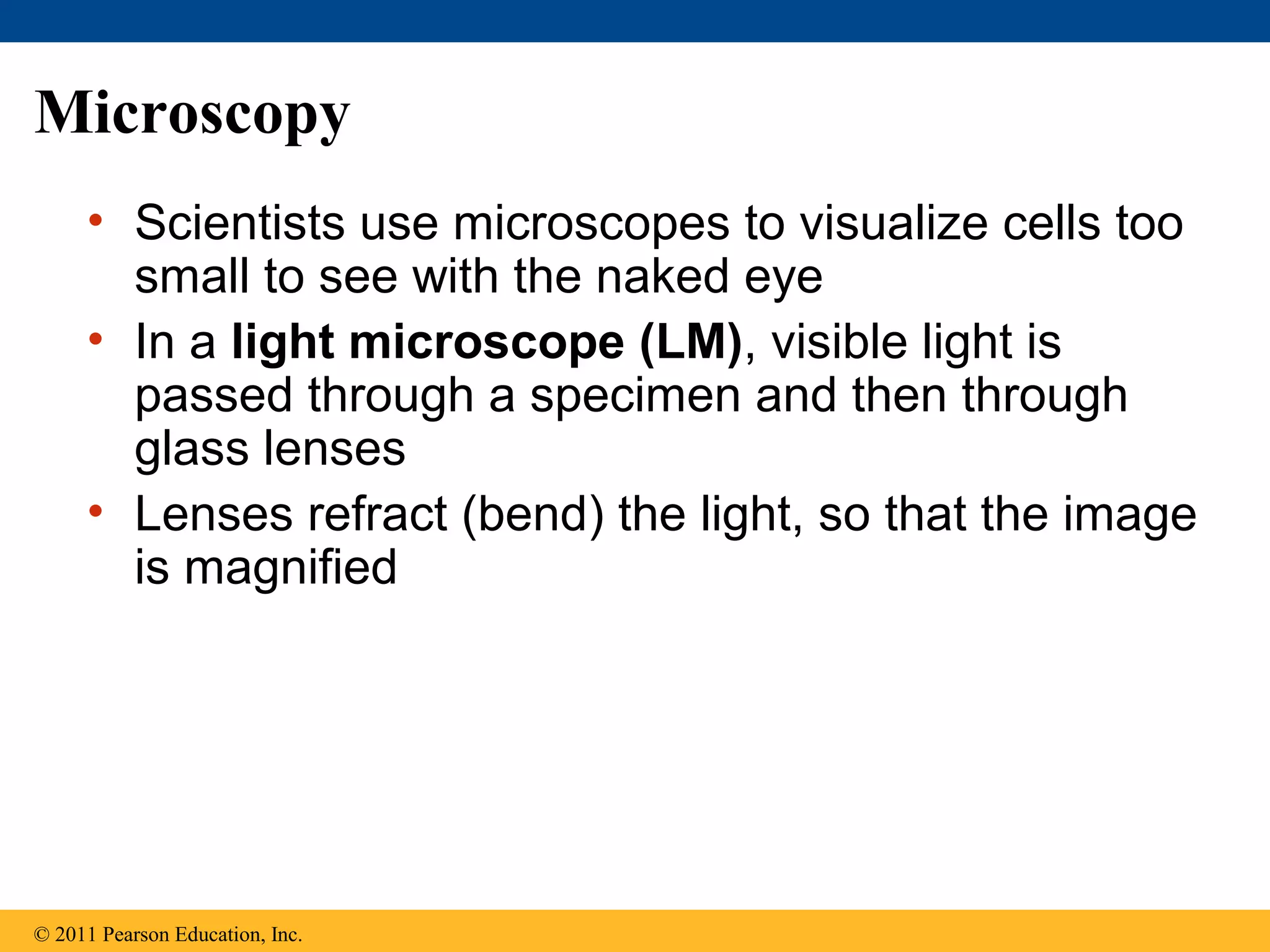 Ch 6: A Tour of the Cell | PPT | Biological Sciences | Science