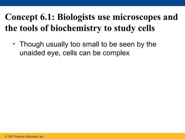 Ch 6: A Tour of the Cell | PPT | Biological Sciences | Science