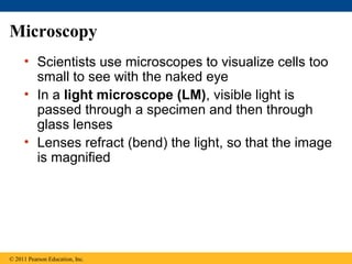Ch 6: A Tour of the Cell | PPT