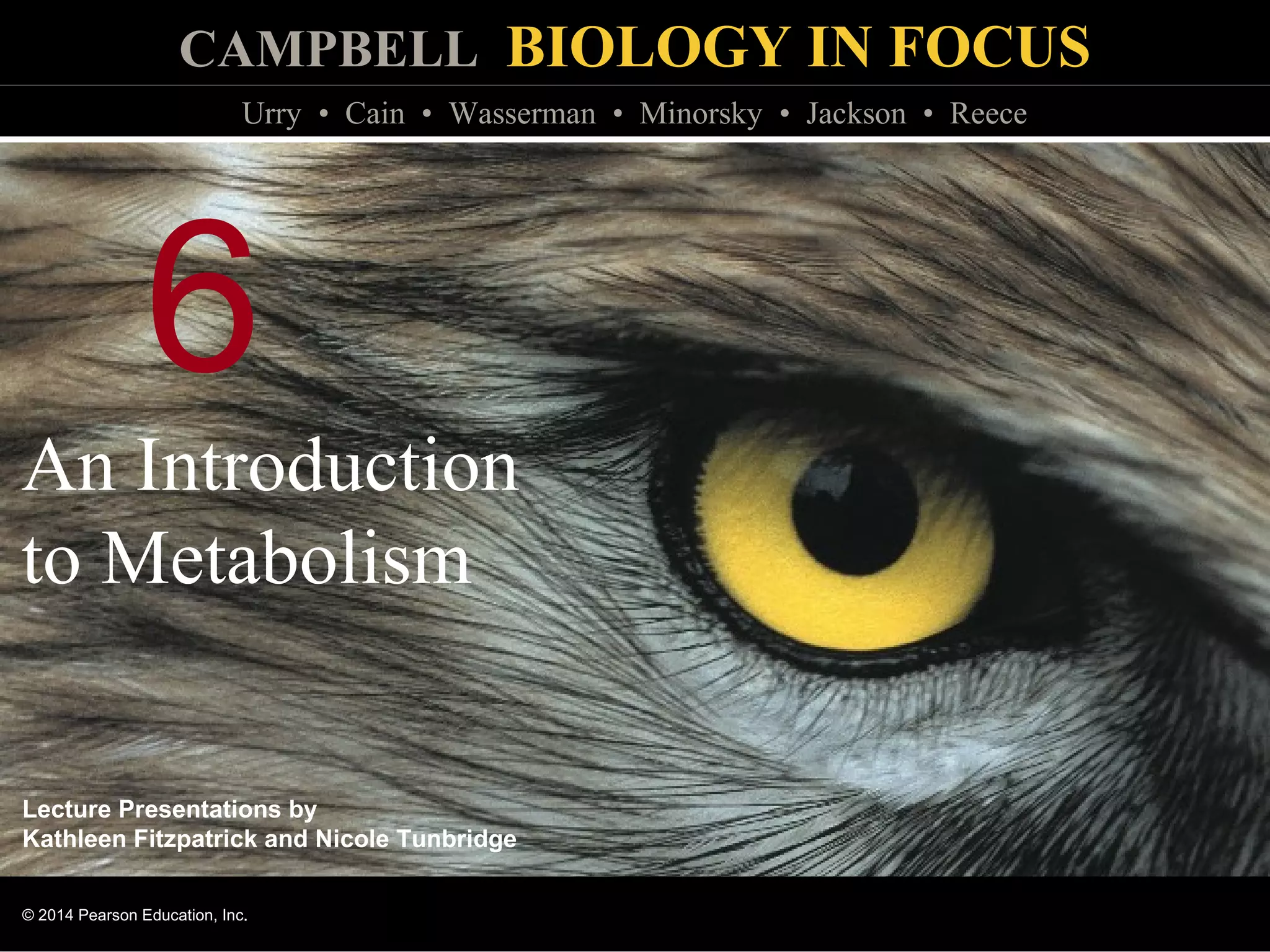 Biology in Focus - Chapter 6 | PPT