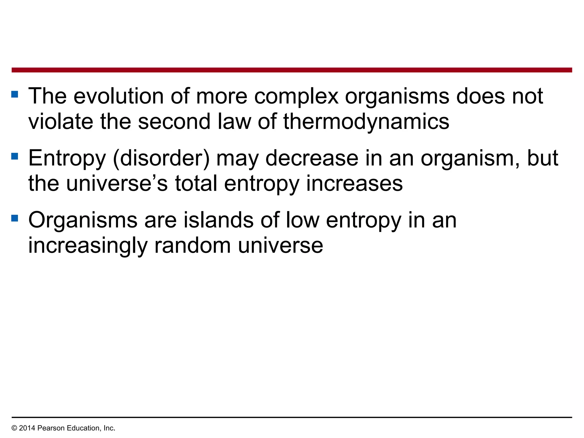 Biology in Focus - Chapter 6 | PPT