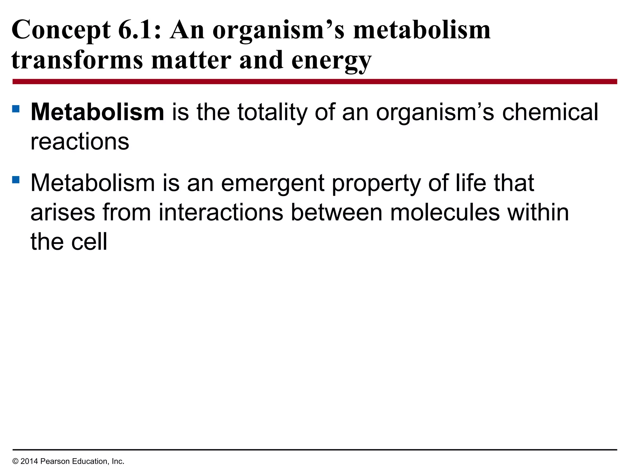 Biology in Focus - Chapter 6 | PPT