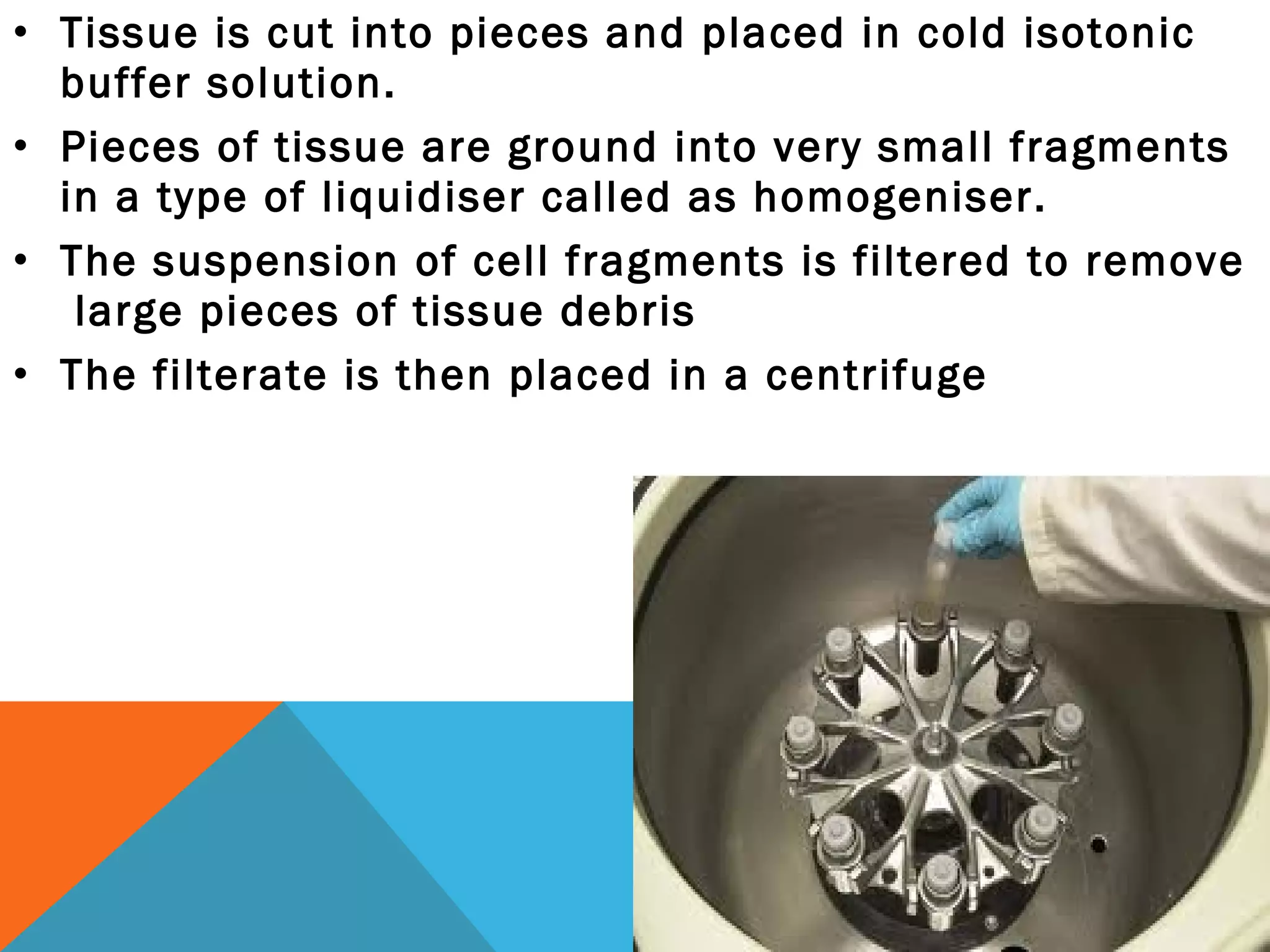 CELL FRACTIONATION | PPT | Biological Sciences | Science