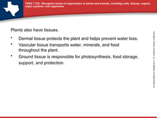 06 Levels of Organization.ppt science gen bio | PPT