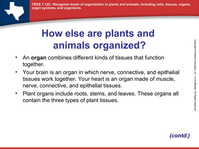 06 Levels of Organization.ppt science gen bio | PPT