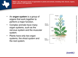 06 Levels of Organization.ppt science gen bio | PPT