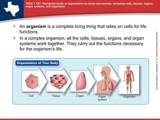 06 Levels of Organization.ppt science gen bio | PPT