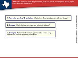 06 Levels of Organization.ppt science gen bio | PPT