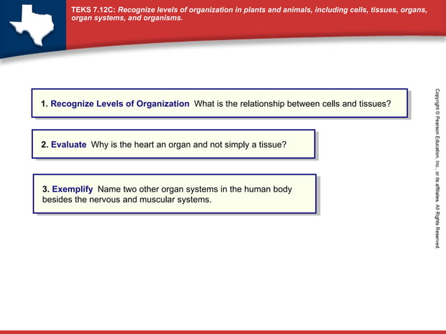 06 Levels of Organization.ppt science gen bio | PPT