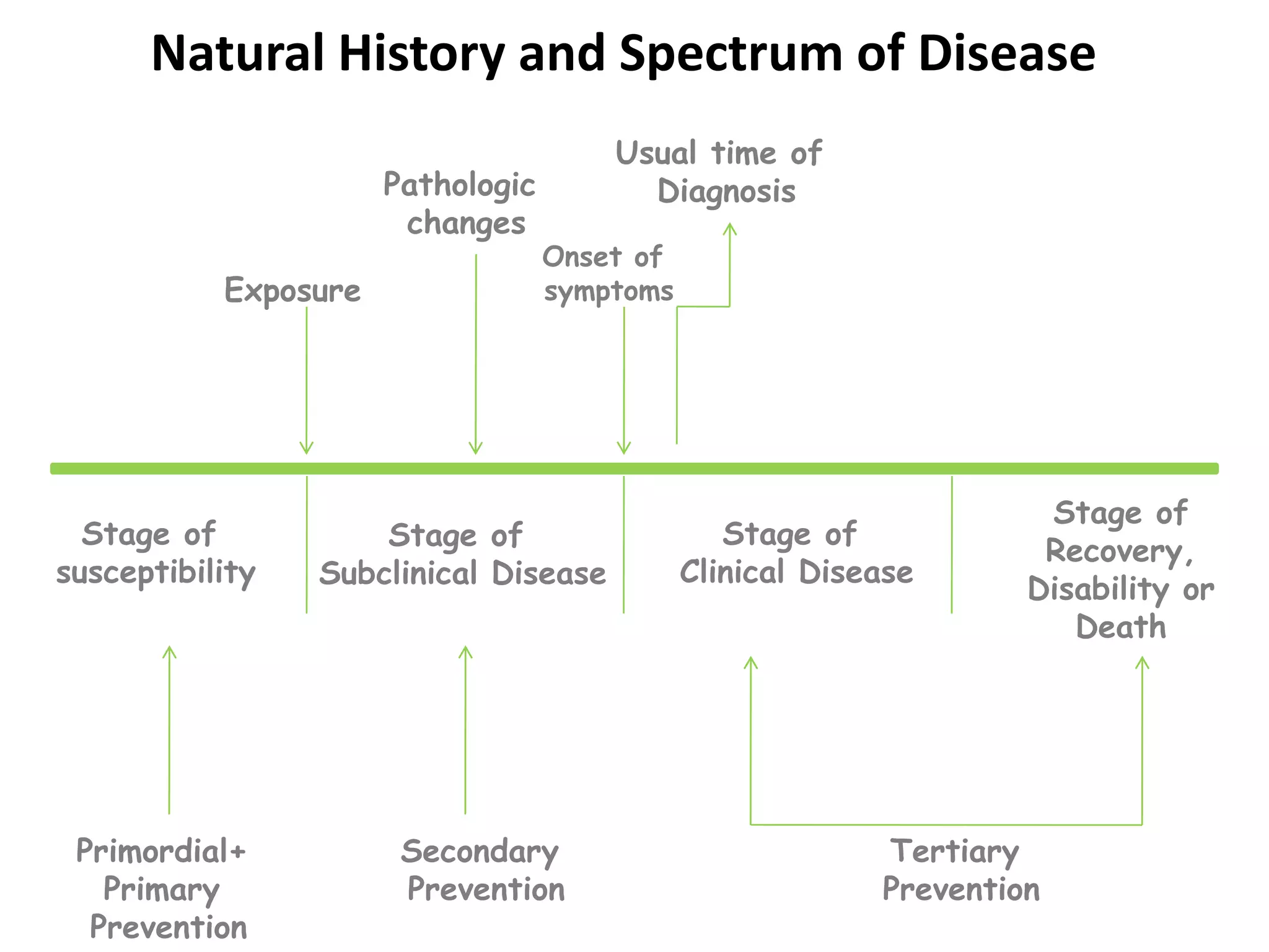 Levels of Prevention. ppt.ppt