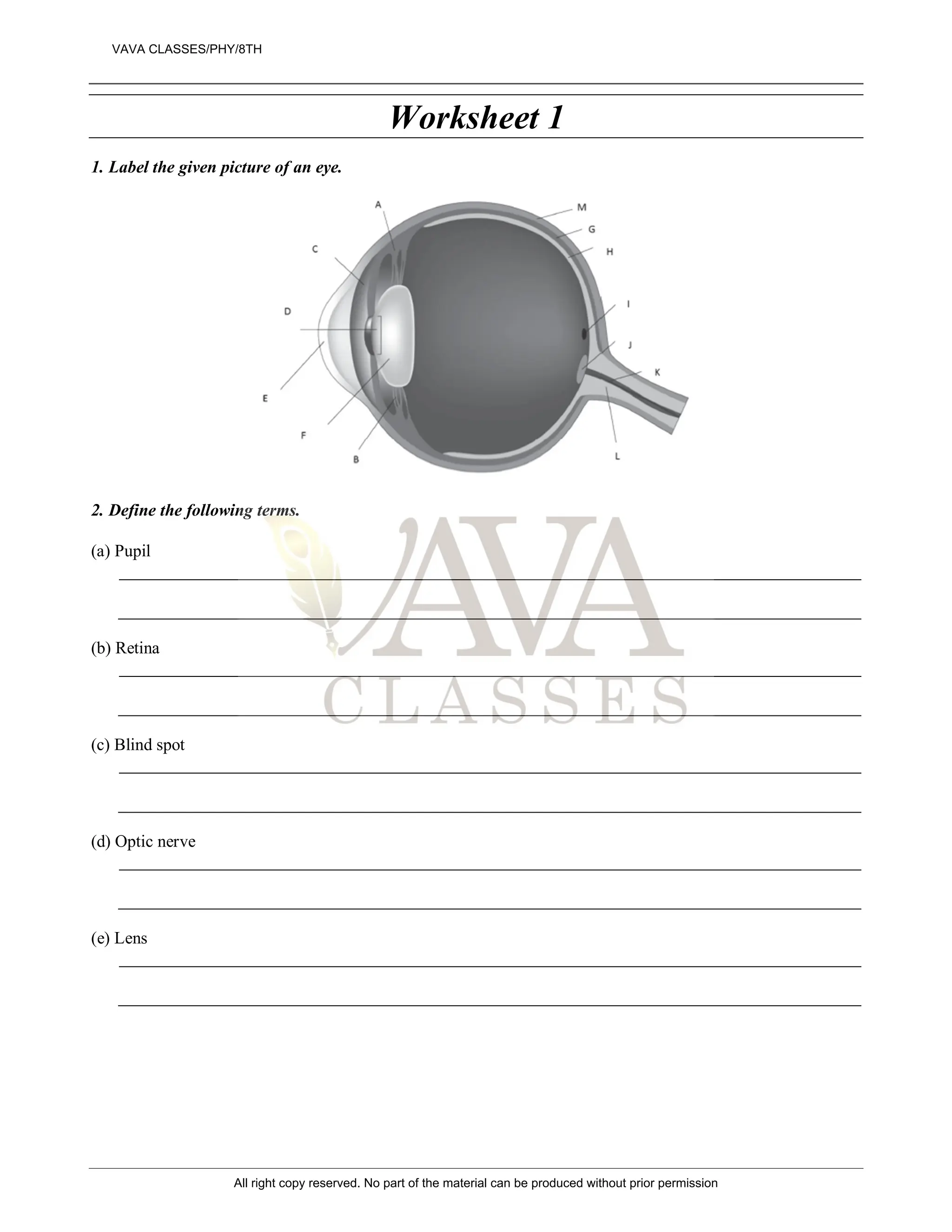 NCERT Class 8 Science Light Free Study Material PDF | PDF