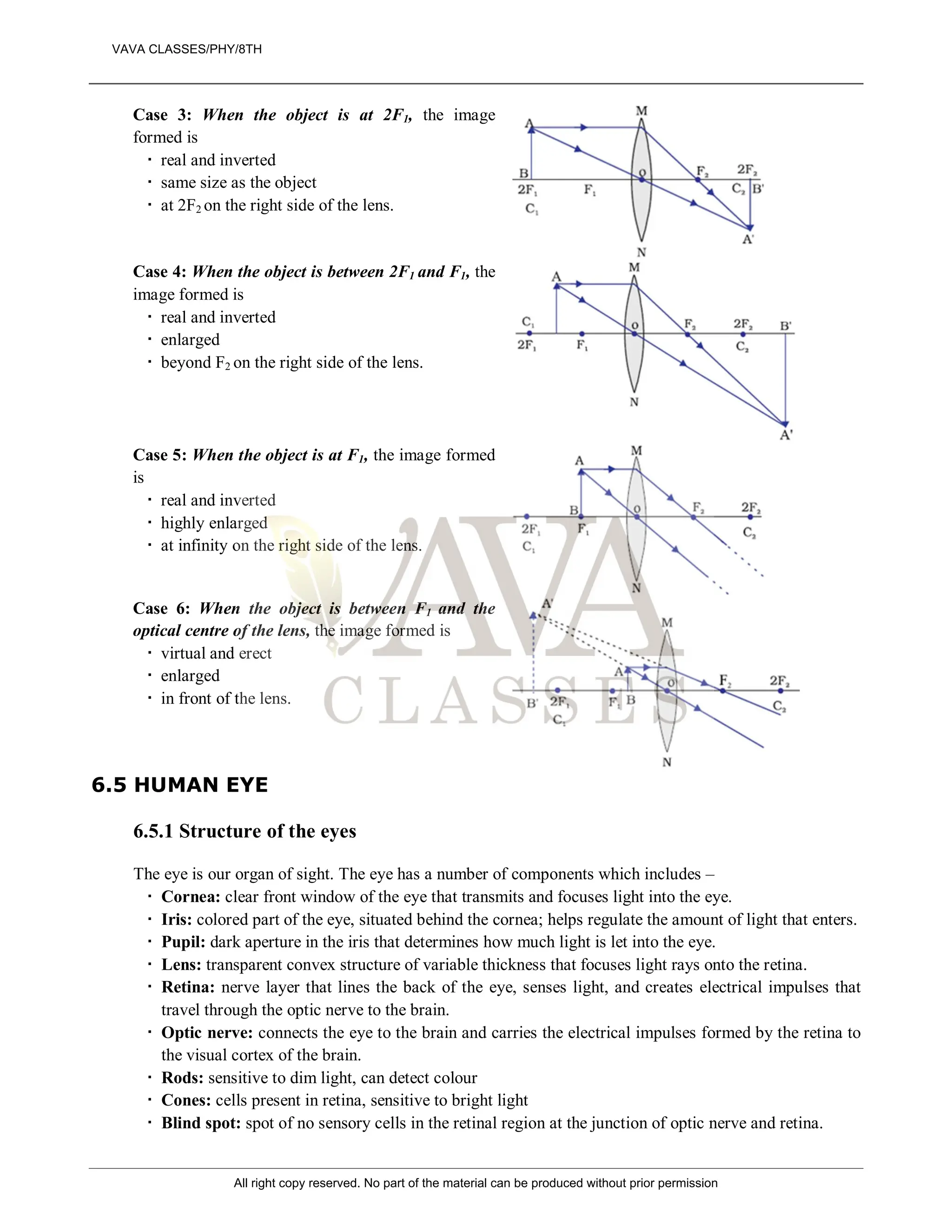 NCERT Class 8 Science Light Free Study Material PDF | PDF