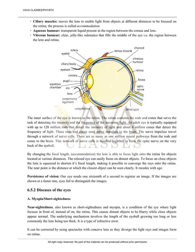 NCERT Class 8 Science Light Free Study Material PDF | PDF | Eye and ...