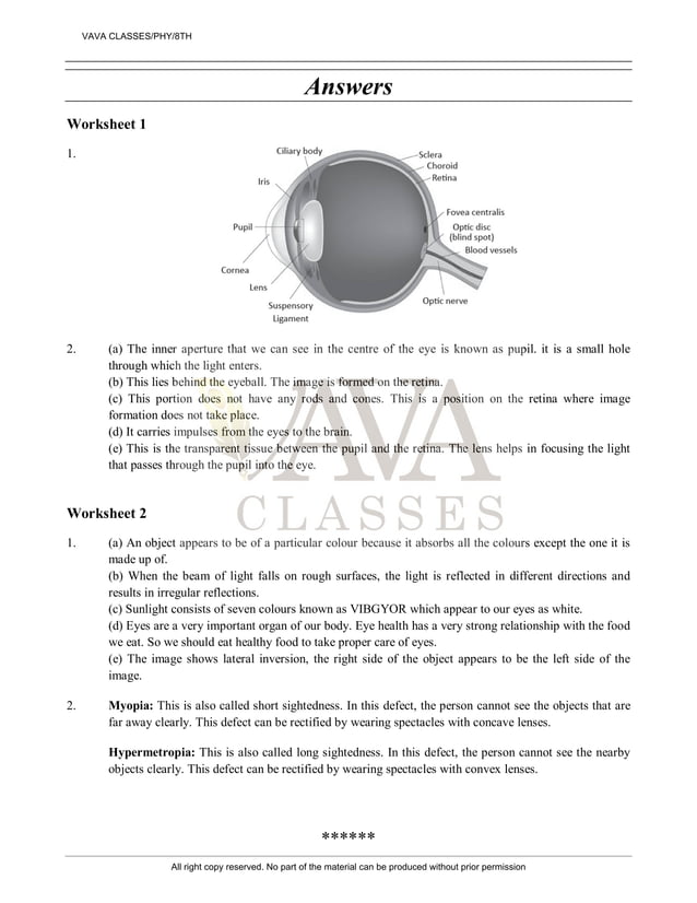 NCERT Class 8 Science Light Free Study Material PDF | PDF | Eye and ...