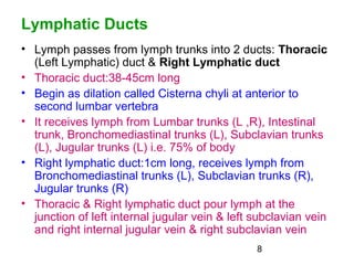 06 lymphatic system | PPT