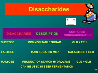 06 macromolecule construction and carbs | PPT