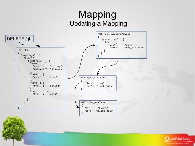 06 Elasticsearch Mapping And Analysis