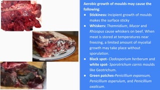 Spoilage of meat and meat products | PPTX
