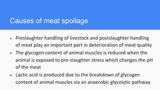 Spoilage of meat and meat products | PPTX