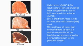 Spoilage of meat and meat products | PPTX