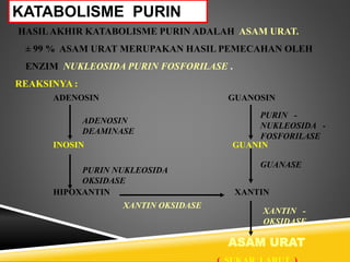 Metabolisme Purin Pirimidin | PPTX