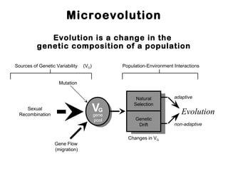 Microevolution