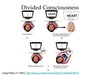Introductory Psychology: Cerebral Cortex | PPT