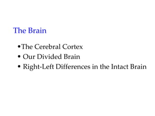 Introductory Psychology: Cerebral Cortex | PPT