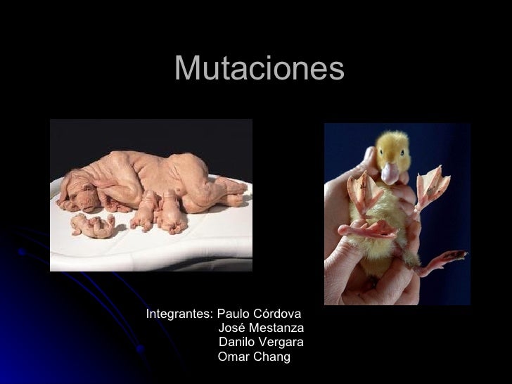 Mutacion Colegio America